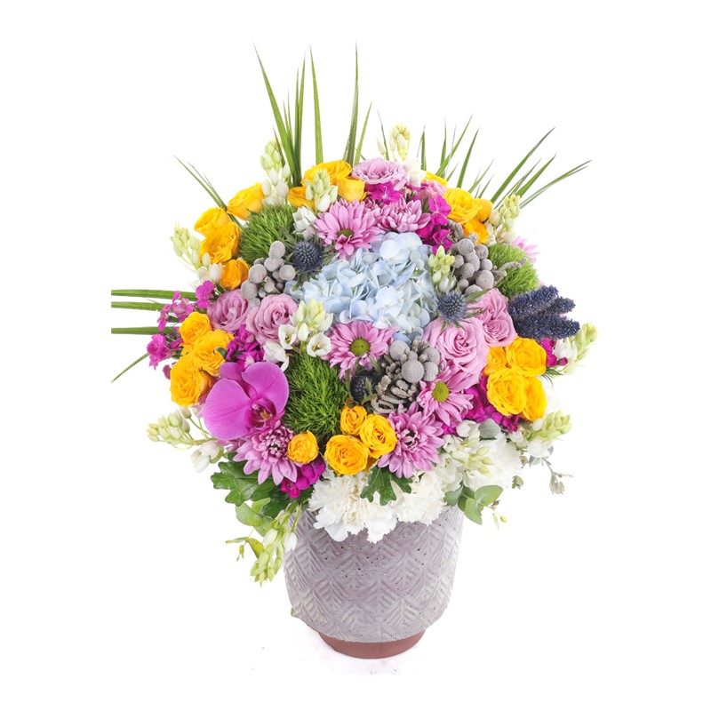 Bloom Carnival Premium Aranjman