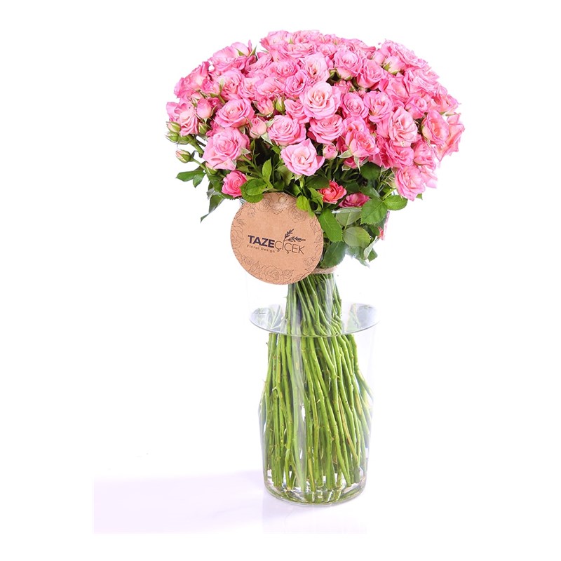 Angel Roses | Taze Çiçek