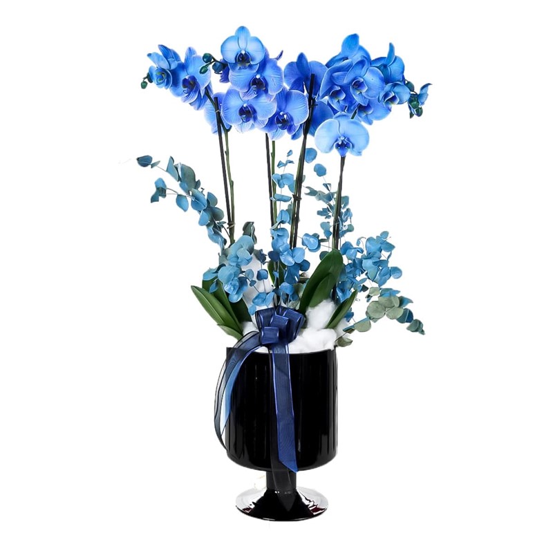 Zarafetin Simgesi Orkide, Uygun Orkide Fiyatları ile Taze Çiçek'te