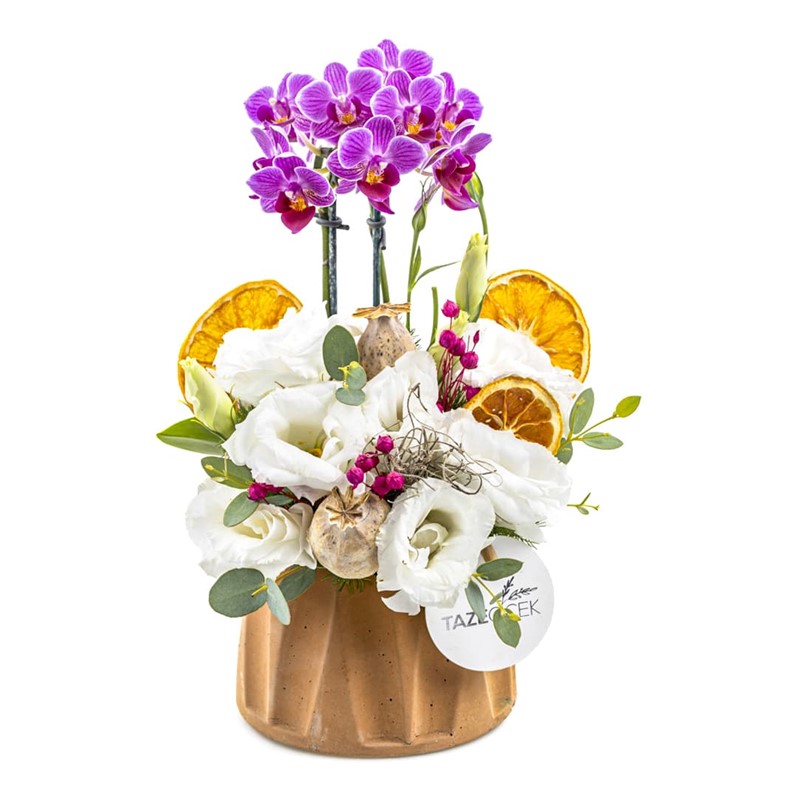 Brilliant Mix I Taze Çiçek