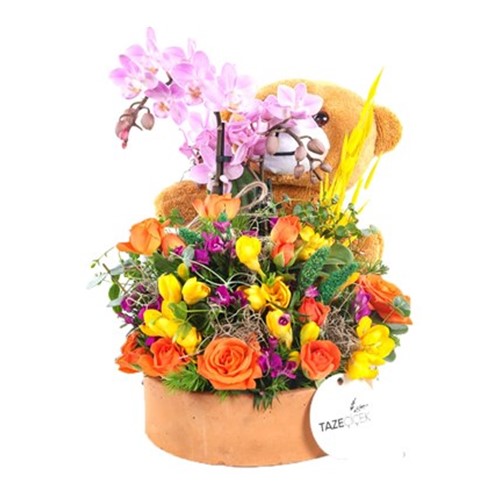 Color Play I Taze Çiçek