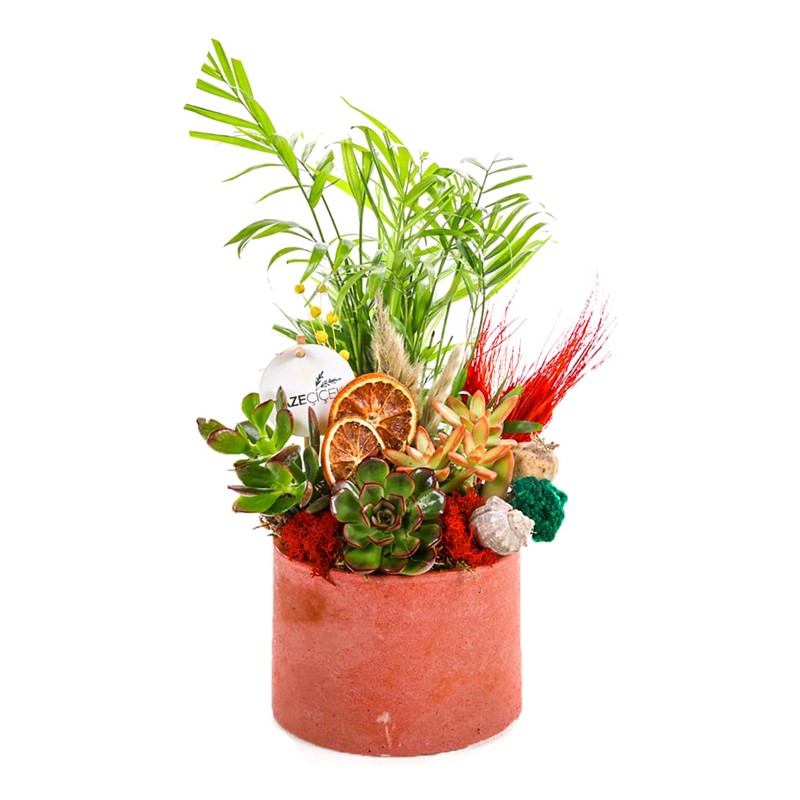 Cool Autumn I Taze Çiçek