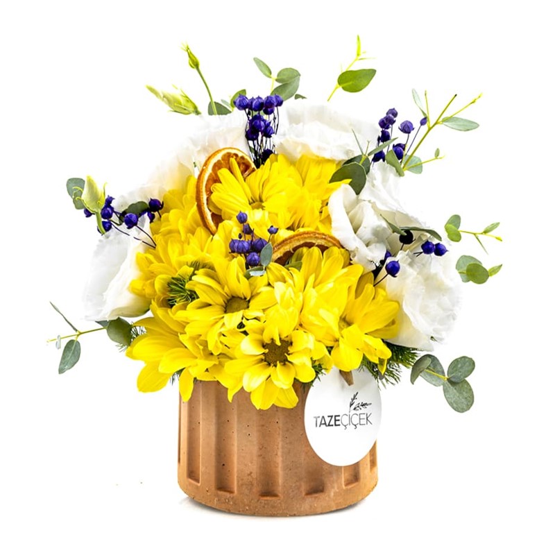 Enchanted Yellow I Taze Çiçek