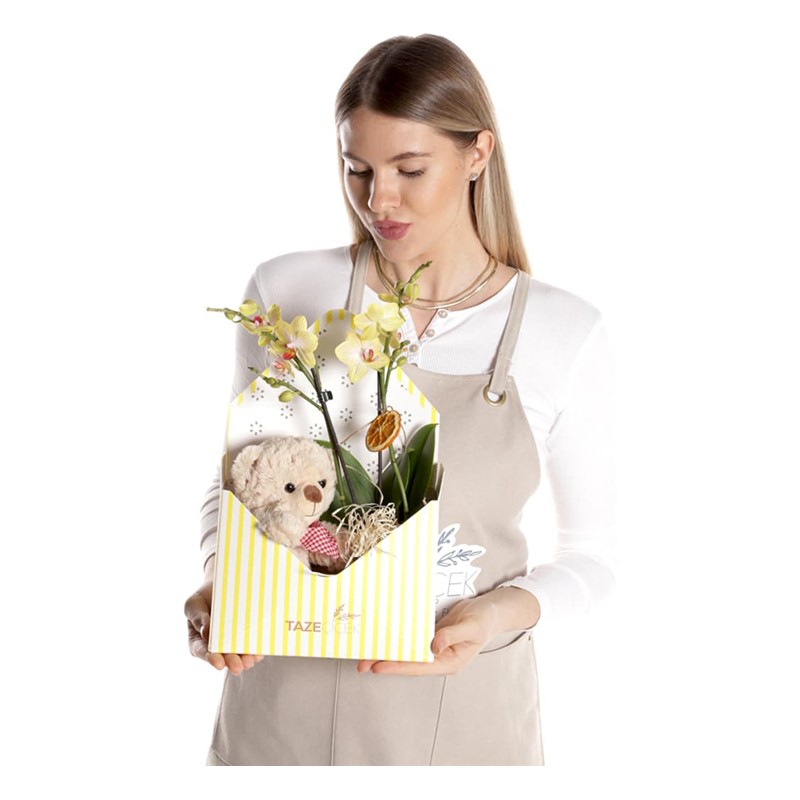 Fire Color Orchid I Taze Çiçek