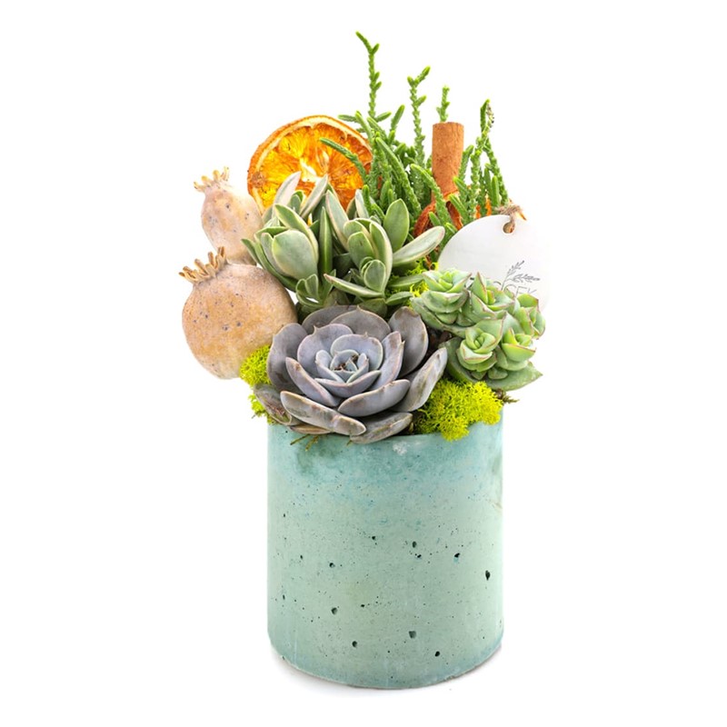 Green Balance I TazeÇiçek