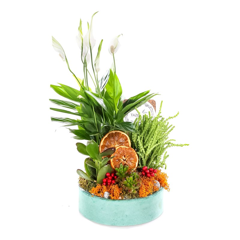 Green Spirit Vital Garden | Taze Çiçek