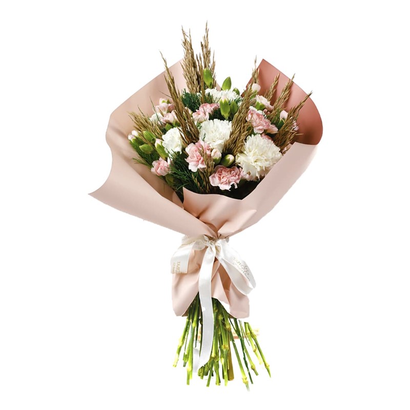 Magic Carnation Bouquet | Taze Çiçek