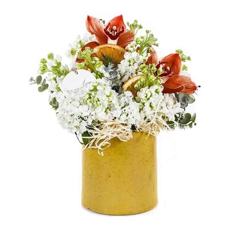 Pastel Orchid Gillyflower | Taze Çiçek