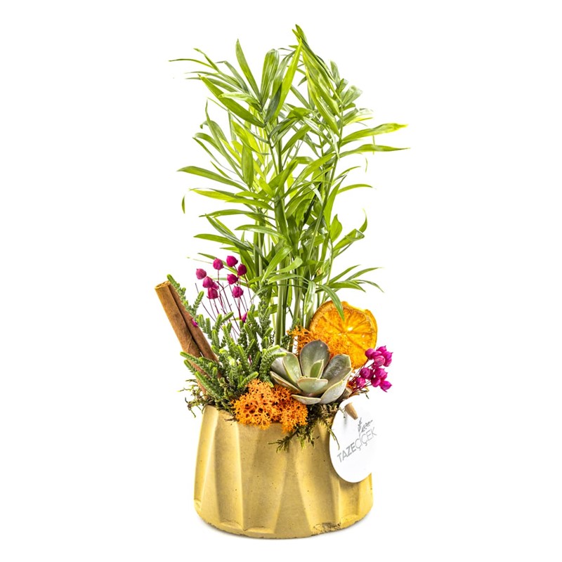 Small Botanical I Taze Çiçek
