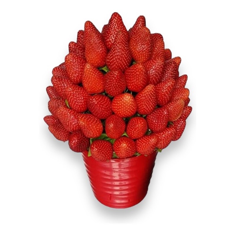 Strawberry Meyve Sepeti I Taze Çiçek