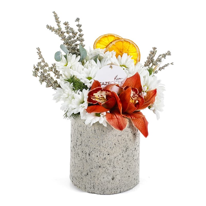 The Rock Daisy & Orchid | Taze Çiçek