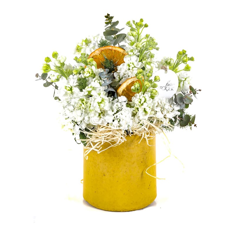 The Wonder Gillyflower | Taze Çiçek