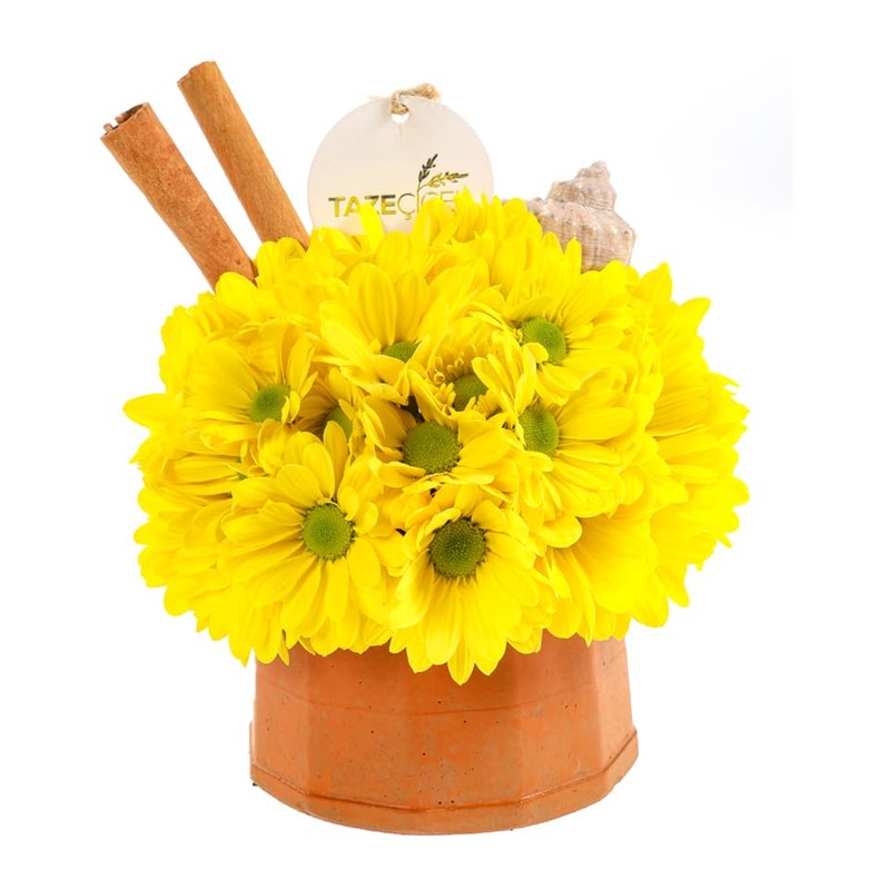 Yellow Sphere I Taze Çiçek