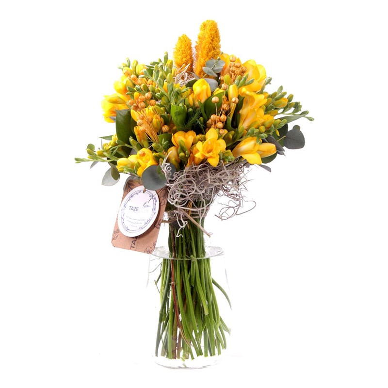 Yellow Wizard Freesia | Taze Çiçek