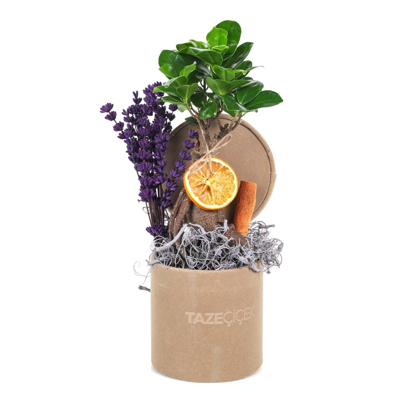 Zenith Flower I Taze Çiçek