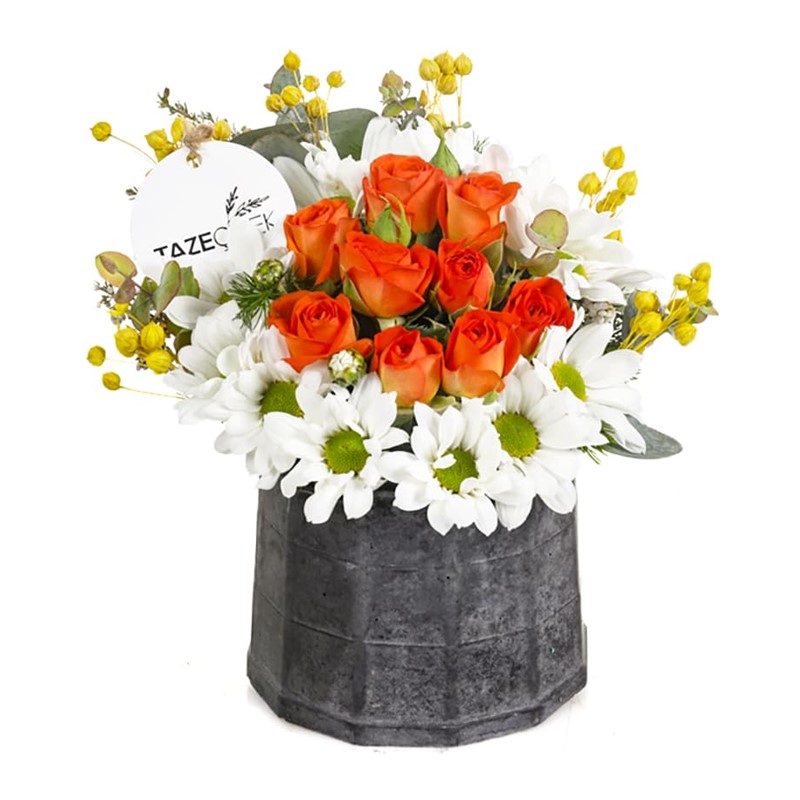 Over Life Papatya | Taze Çiçek