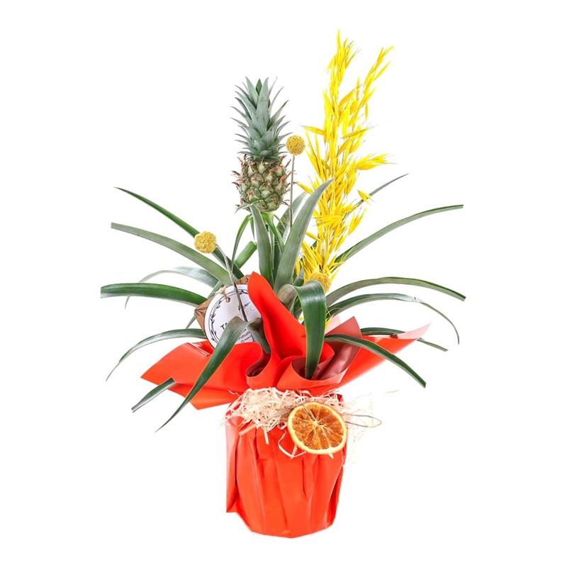 Sunny Ananas Glow | Taze Çiçek