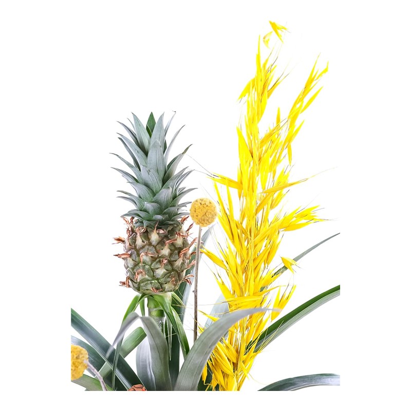 Sunny Ananas Glow | Taze Çiçek