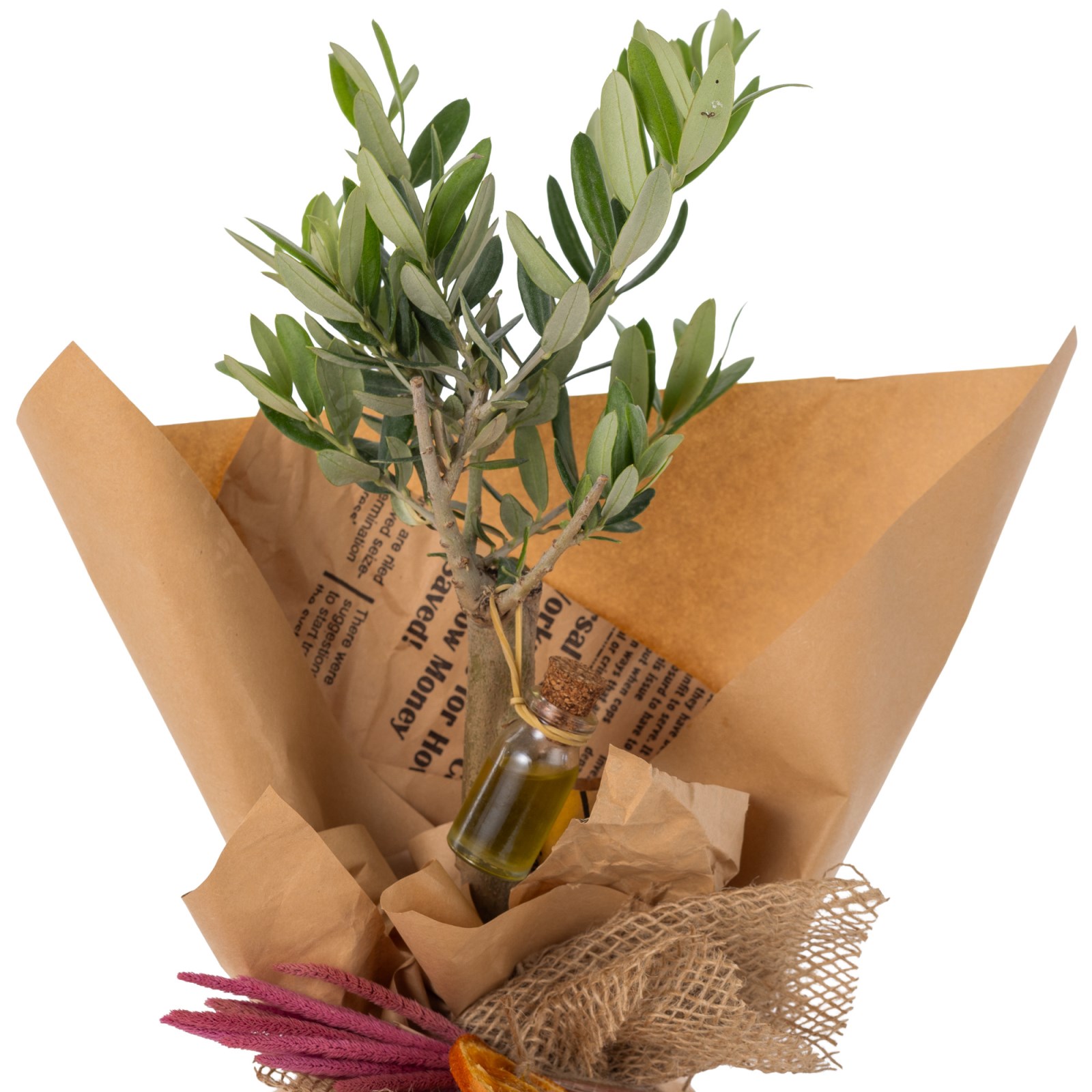 Olive Harmony Zeytin Ağacı I Taze Çiçek