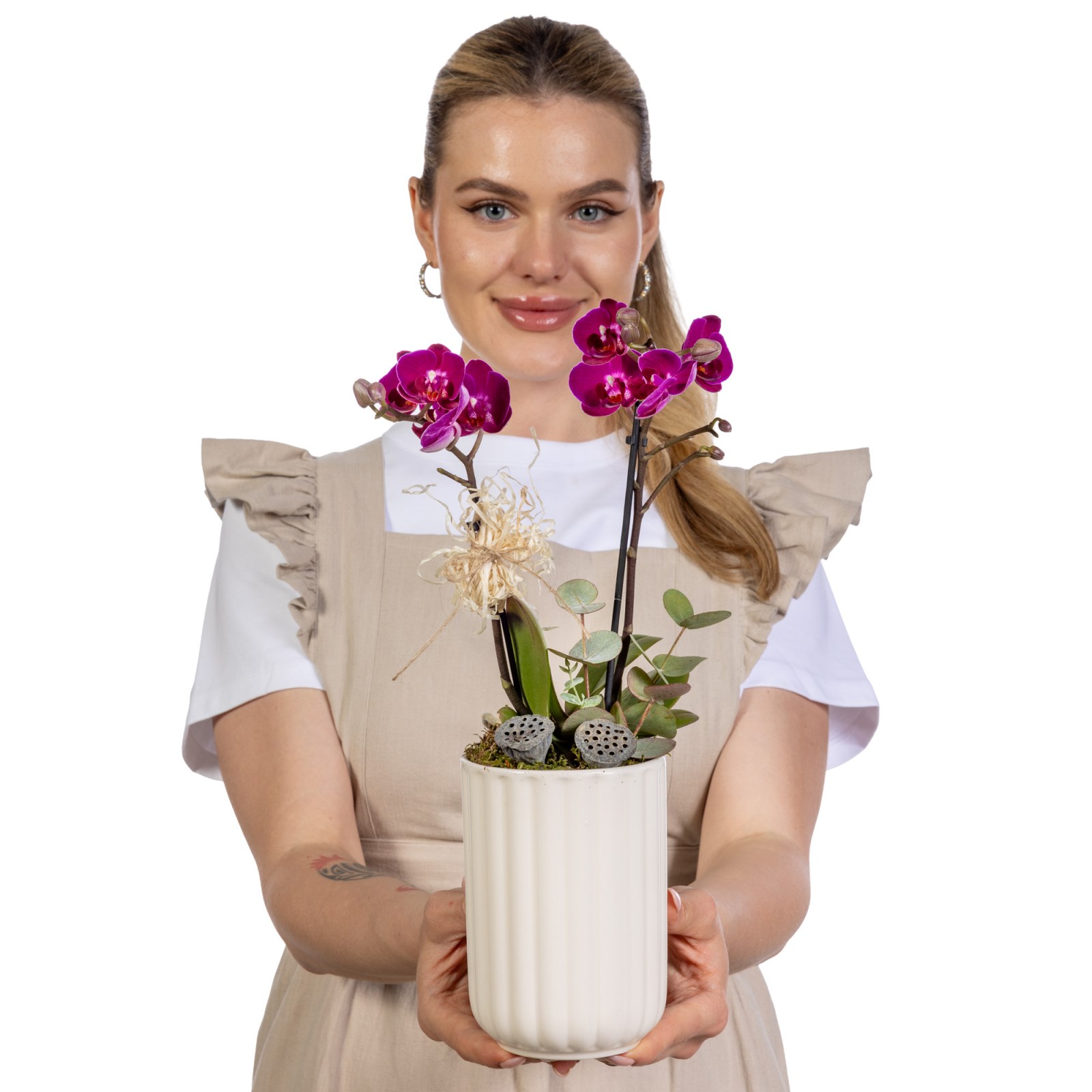 Royal Bloom Orkide I Taze Çiçek