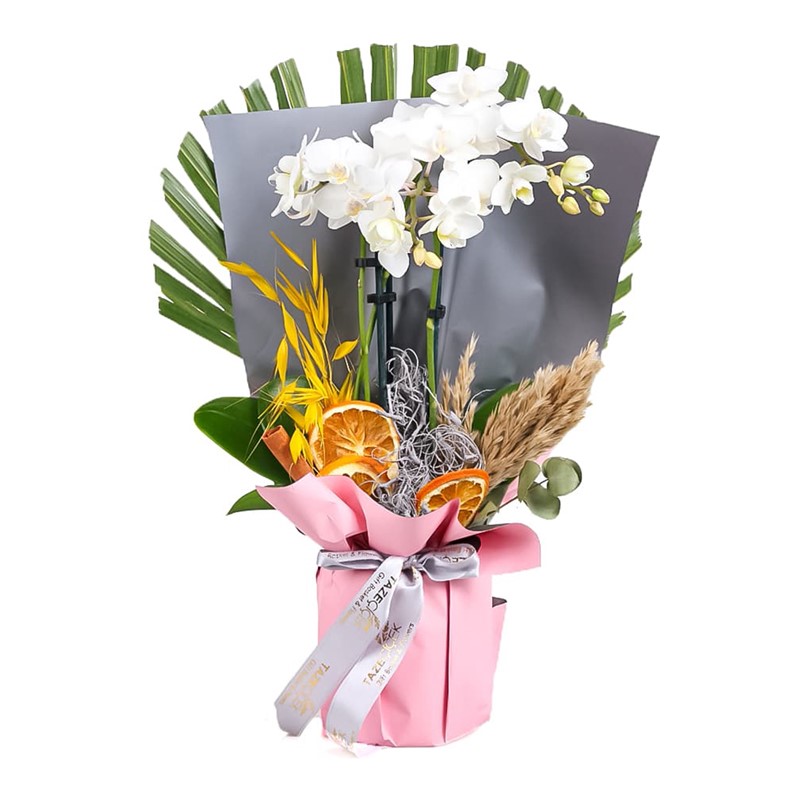 Betria Midi Beyaz Orkide I Taze Çiçek