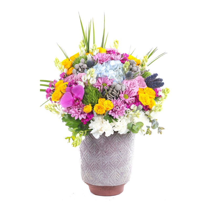 Bloom Carnival Premium Aranjman