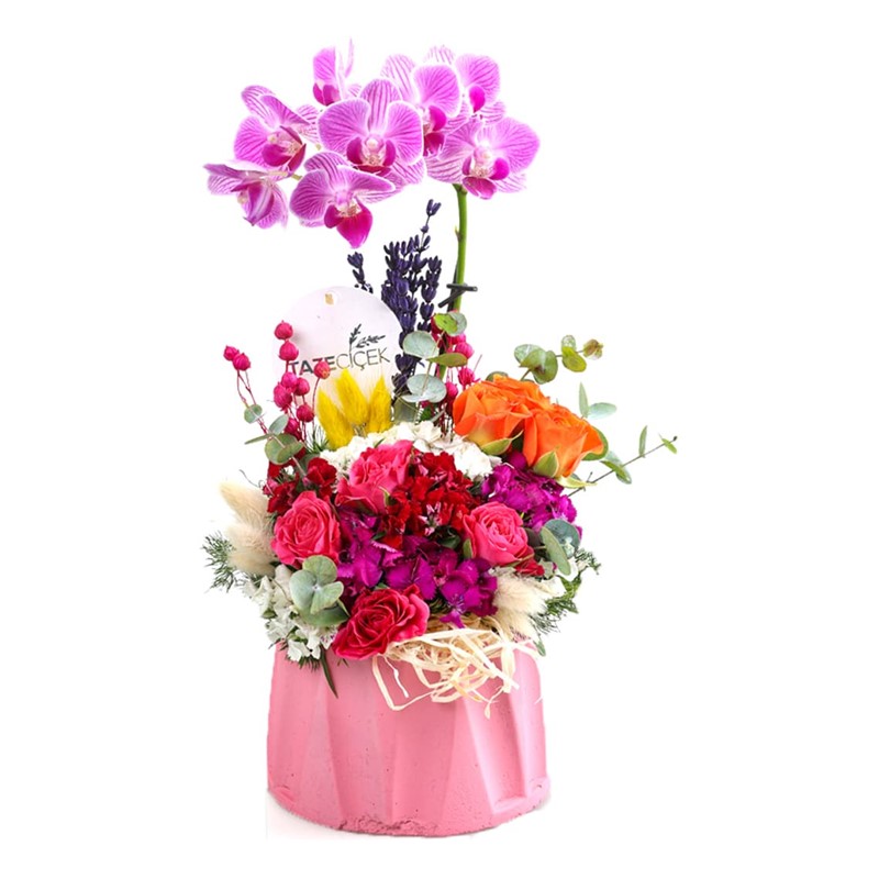 Everlasting Beauty I Taze Çiçek