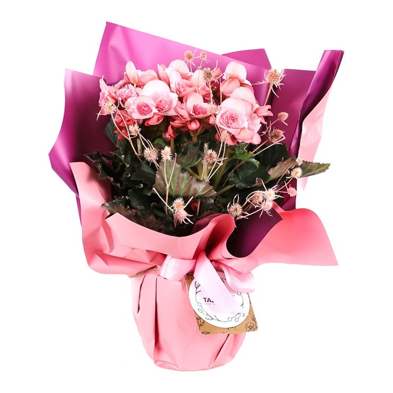 (Sayfa:2) Ofis Çiçekleri | Ofise Çiçek Gönderimi & Fiyatları | Taze Çiçek