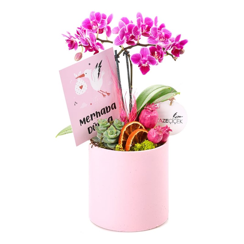 Orchid Dance I TazeÇiçek