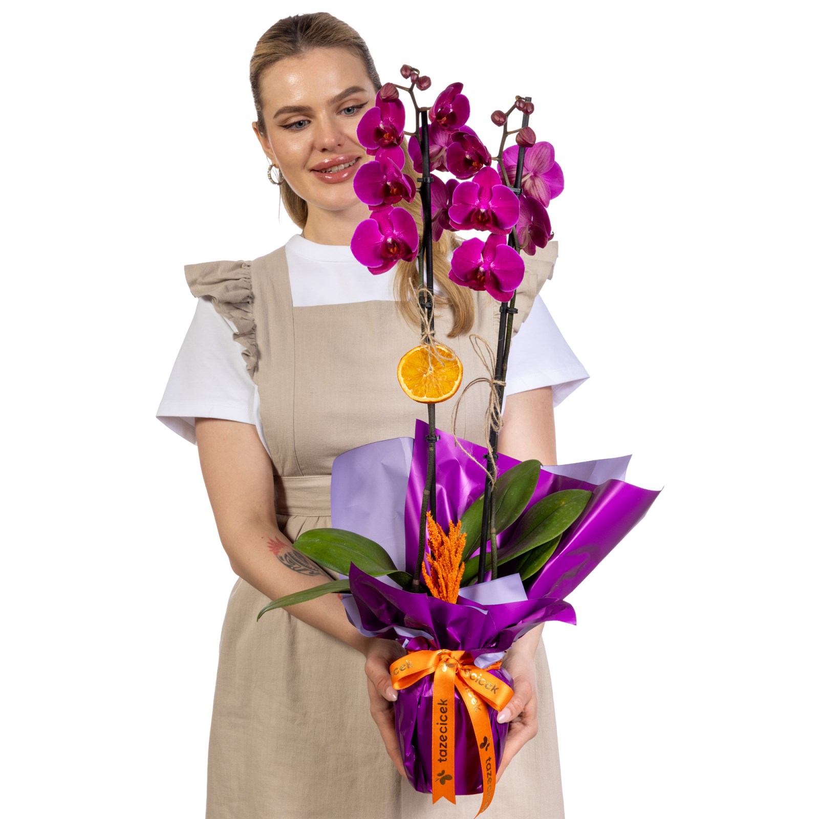 Ruby Sunset Mor Orkide | Taze Çiçek