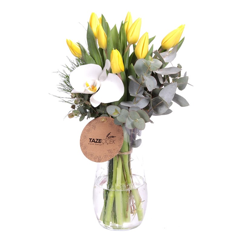 Lale Çiçeği | Lale Buketi & Fiyatları | Taze Çiçek