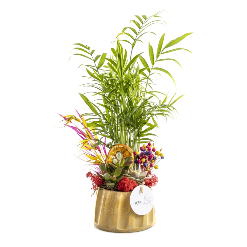 Ultraviolet Garden | Taze Çiçek